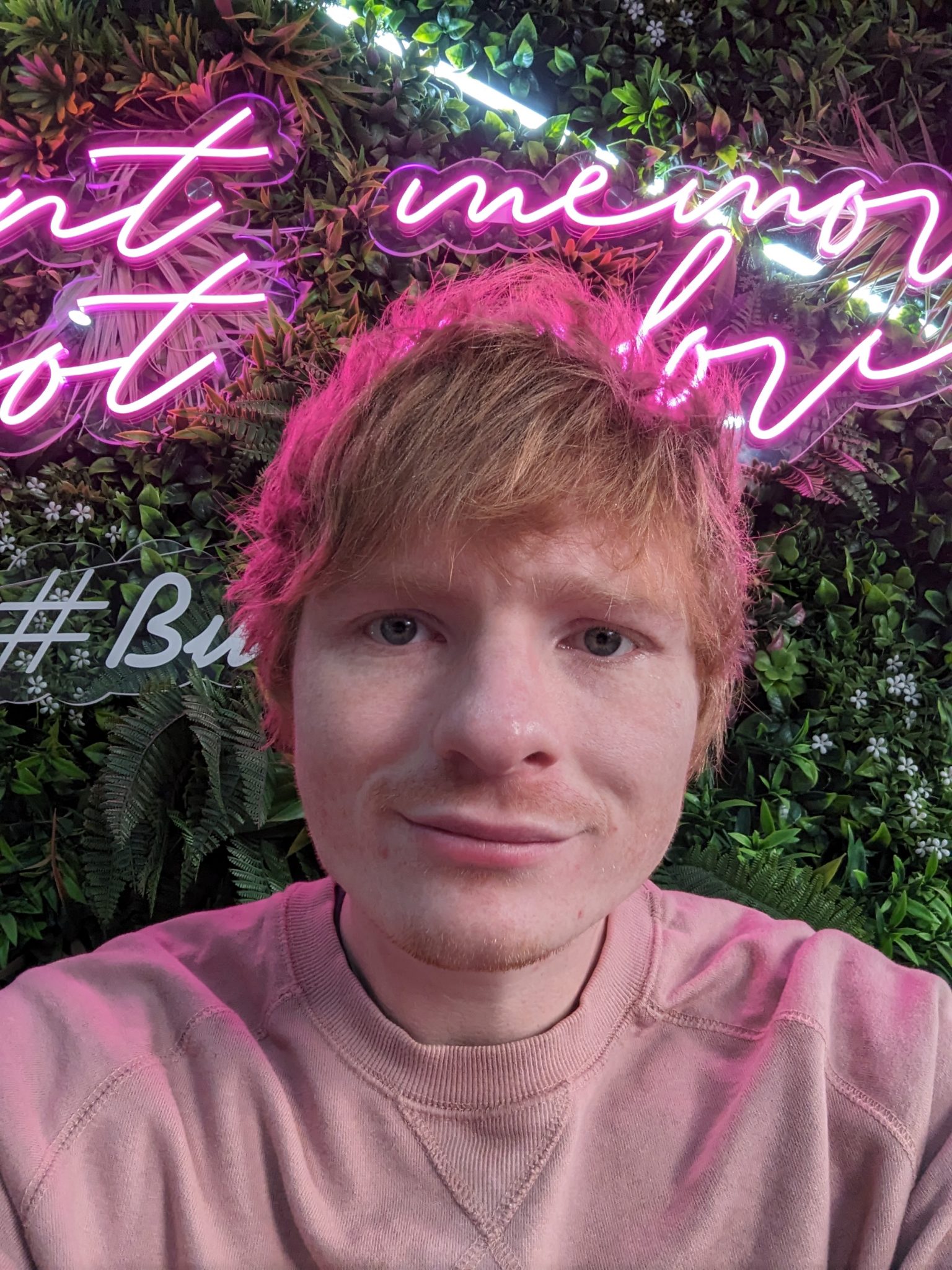 Ed Sheeran Lookalike - Lookalikes, Celebrity Look alikes