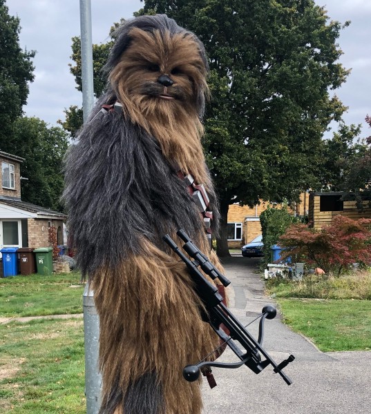 Chewbacca lookalike - Hire impersonators, tributes