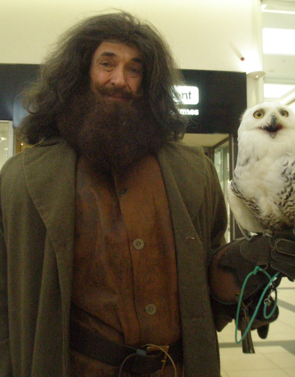 Hagrid Lookalike - Hire Impersonators, Lookalikes